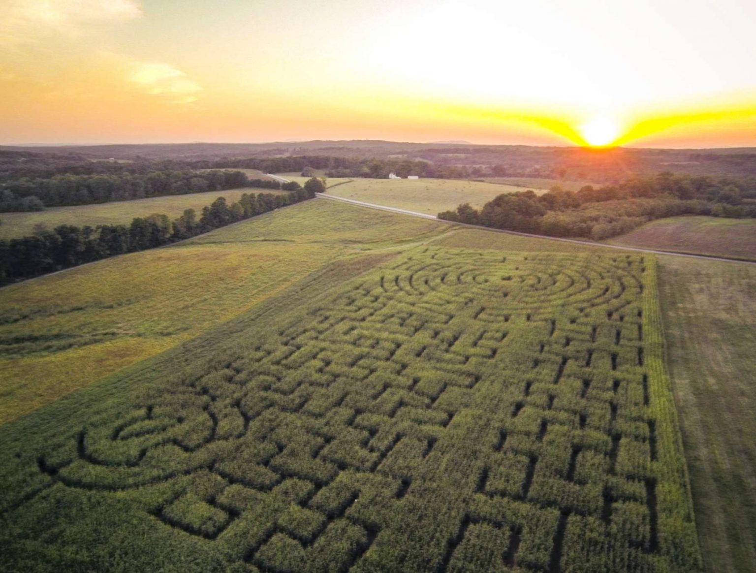 Corn Maze - Lynchburg, Rustburg, Central Virginia - Yoders' Farm