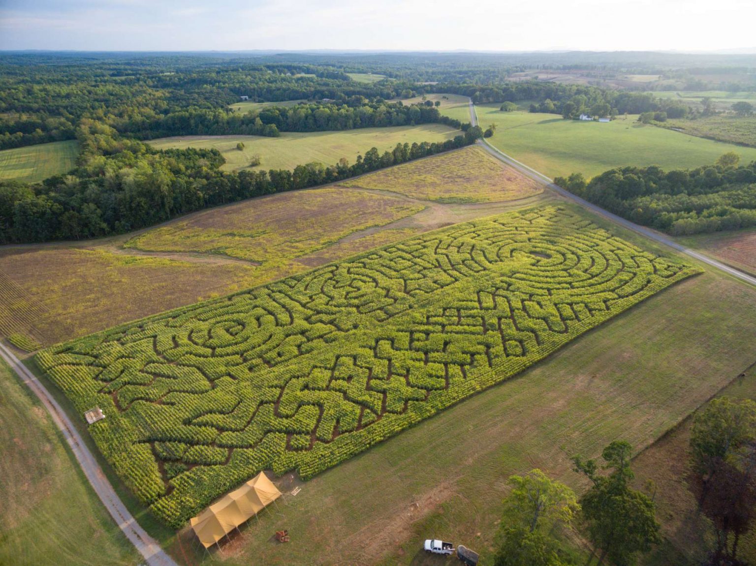 Corn Maze - Lynchburg, Rustburg, Central Virginia - Yoders' Farm