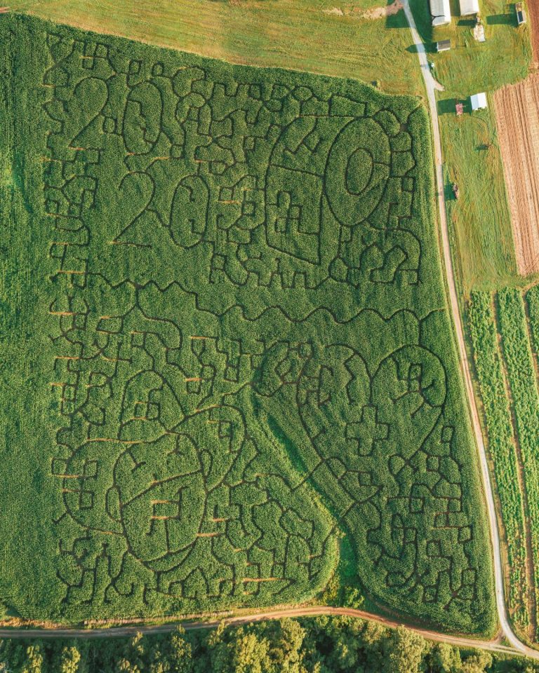 Corn Maze - Lynchburg, Rustburg, Central Virginia - Yoders' Farm
